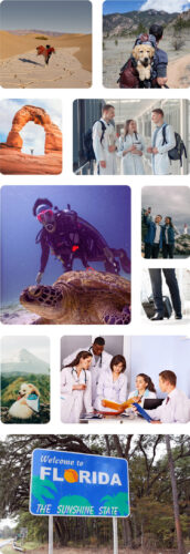 About Us - ProCare USA